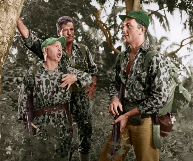 Ambush Bay (1966) – Mike's Take On the Movies