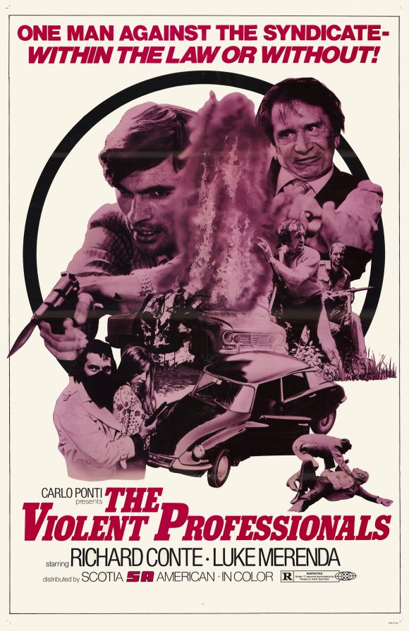 The Violent Professionals (1973) – Mike's Take On the Movies
