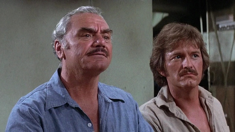 Ravagers (1979) – Mike's Take On the Movies