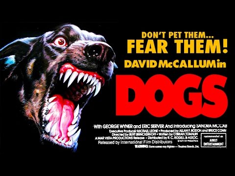 Dogs (1976) – Mike's Take On the Movies
