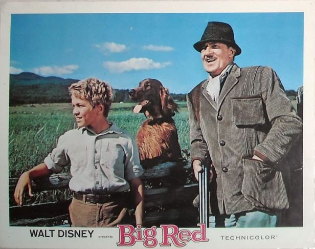 Big Red (1962) – Mike's Take On the Movies