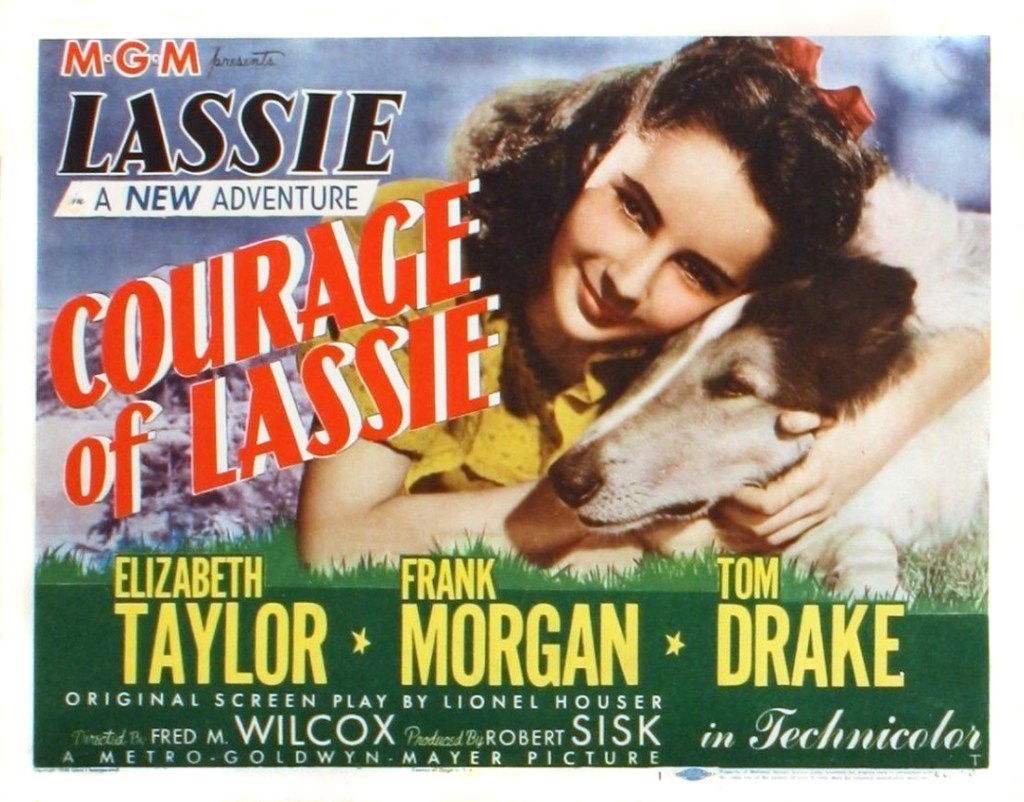 Courage of Lassie (1946) – Mike's Take On the Movies