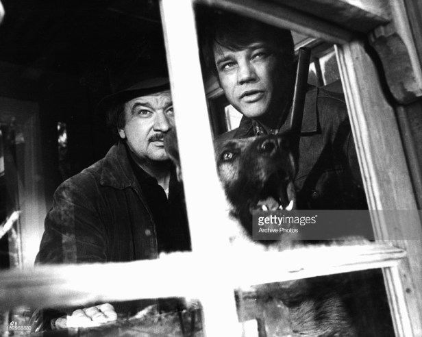 The Pack (1977) – Mike's Take On the Movies