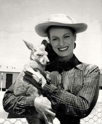 Kangaroo (1952) – Mike's Take On the Movies